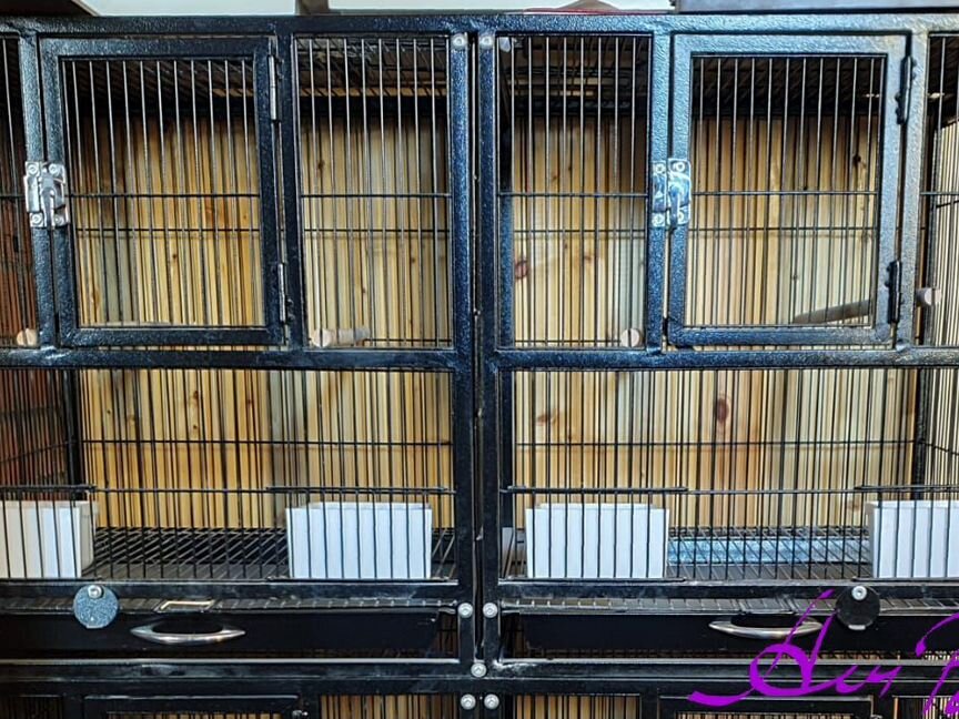 Вольер Бокс для разведения