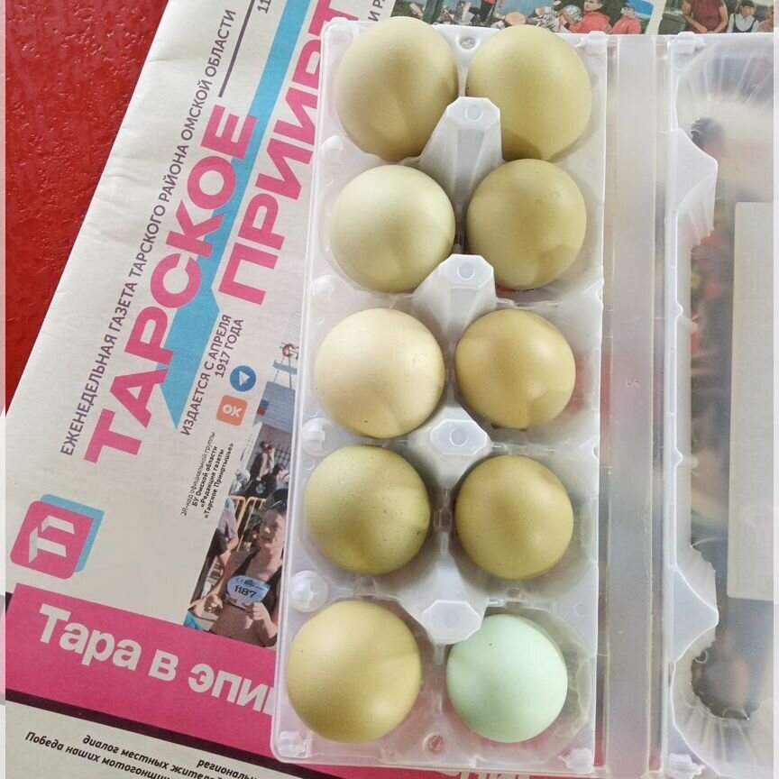 Домашние куриные яйца
