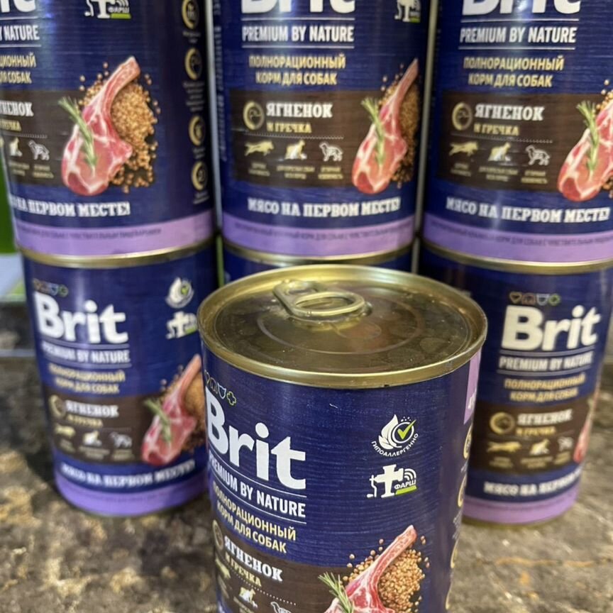 Brit консервы для собак