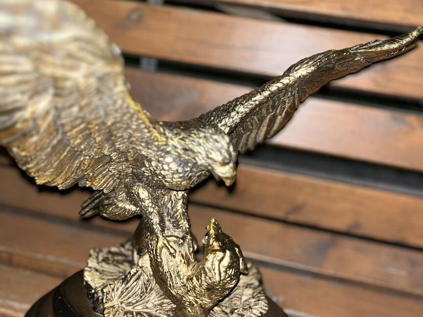 Декоративные птицы