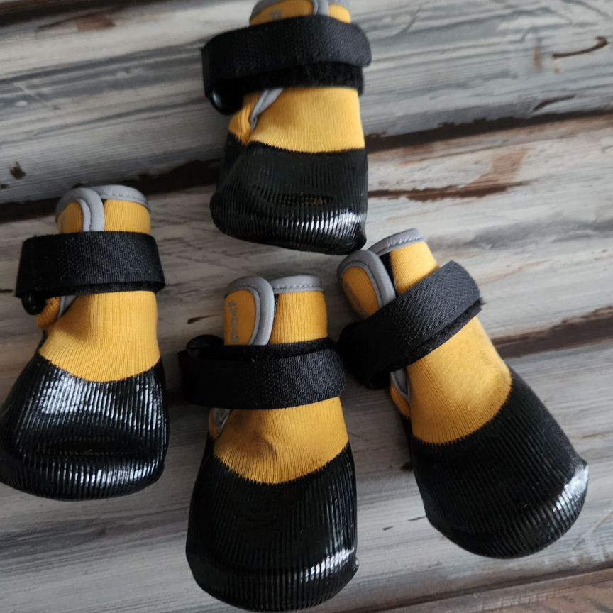 Обувь для собак