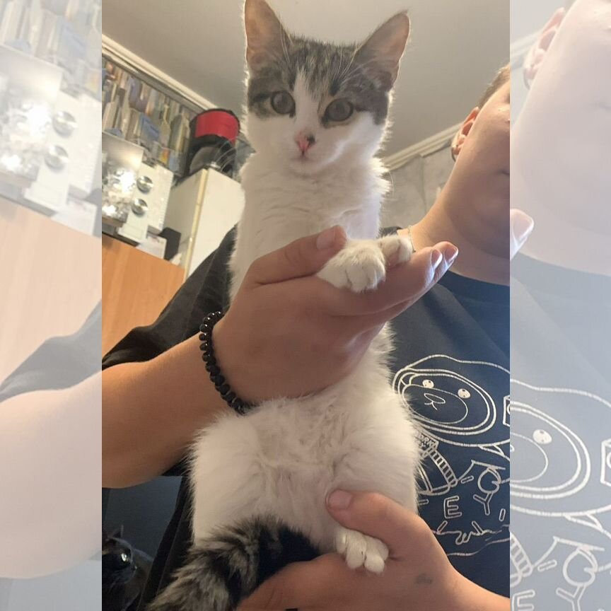 Чудесная малышка сроч ищет дом 4 мес