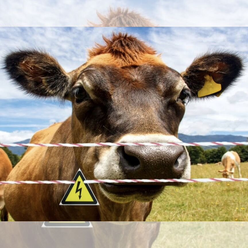 Электропастух