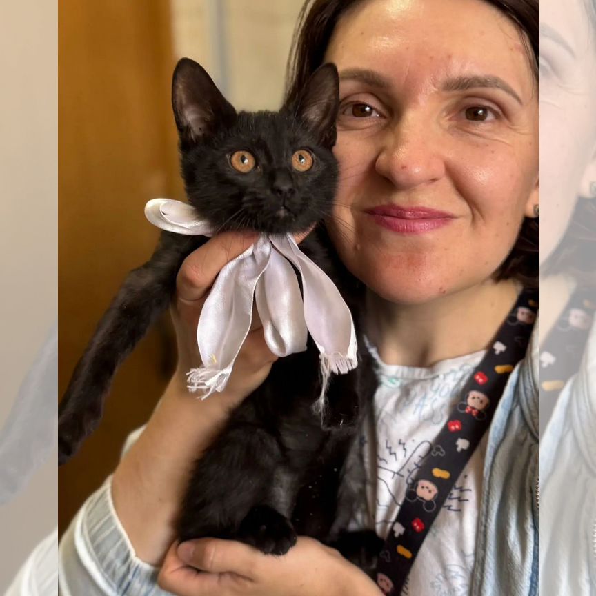 Котёнок в добрые руки
