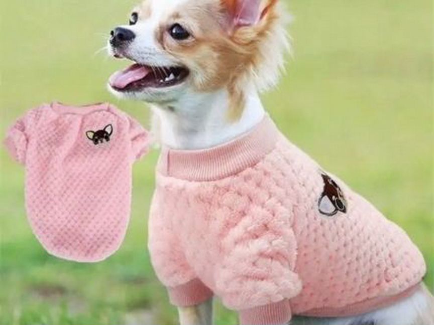 Кофточка дл маленькой собаки или кошки