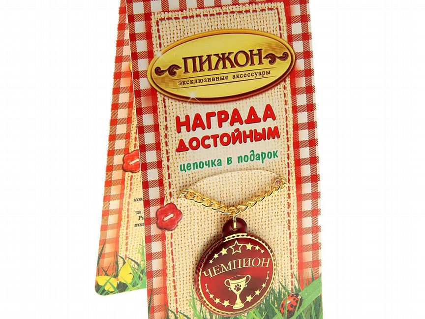 Кулон на цепочке для собаки, кошки «Чемпион»
