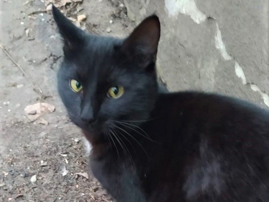 Парень по имени Гоша живёт в подвале