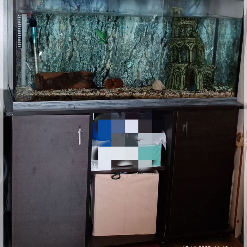 Действующий аквариум