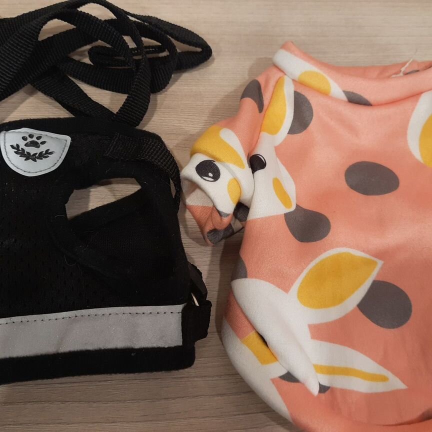 Шлейка с поводком для маленьких собак