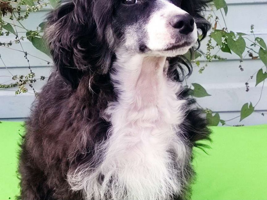 Пуховый мальчик китайчик