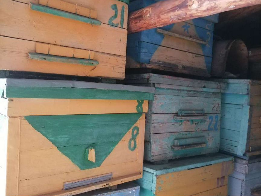 Продам ульи для пчел б-у