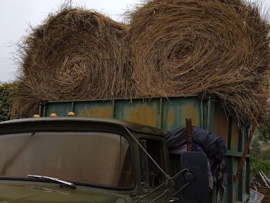 Сено в тюках и рулонах