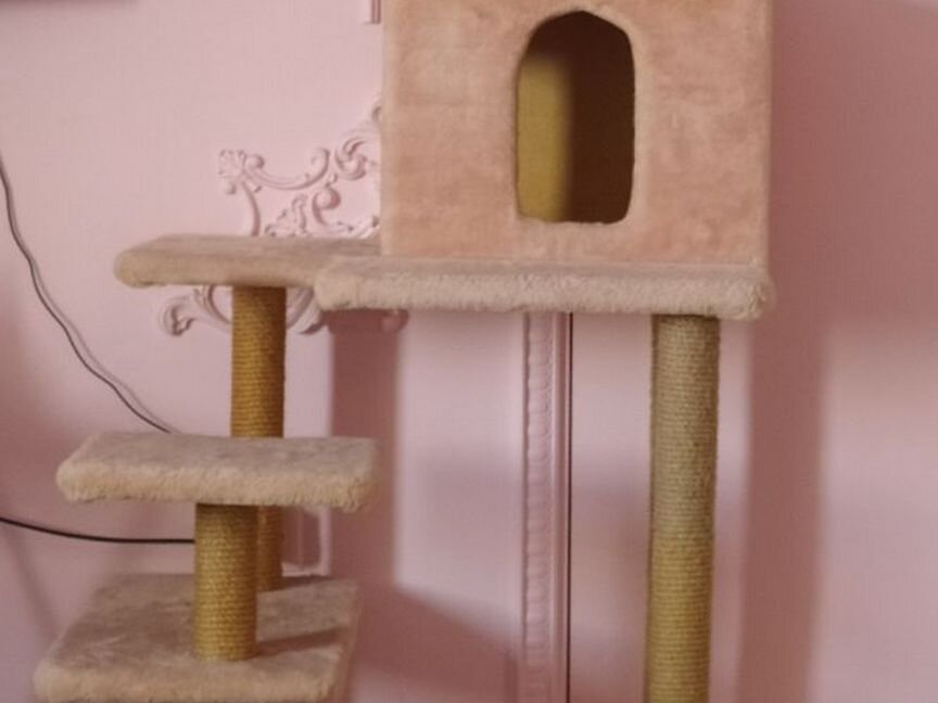 Когтеточка. Кошечка не крупная. Вислоухая