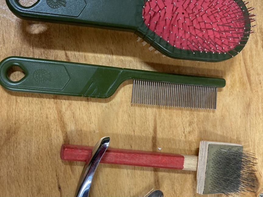 Набор для ухода за собакой-кошкой