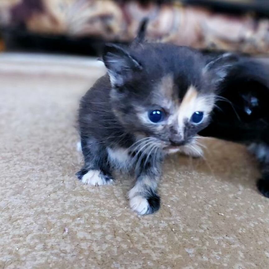 Мальчик и девочка