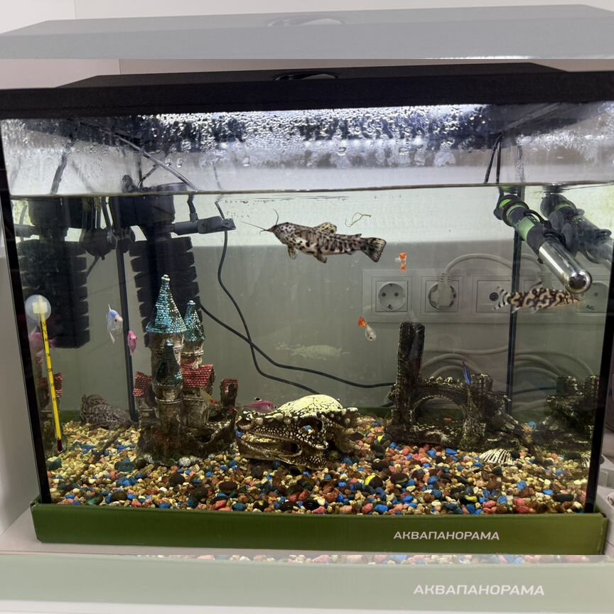Аквариум с фильтром и рыбками