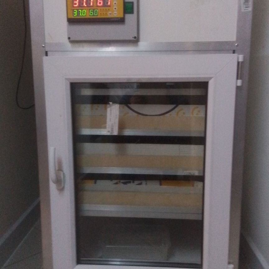 Инкубатор для яиц автоматический бу