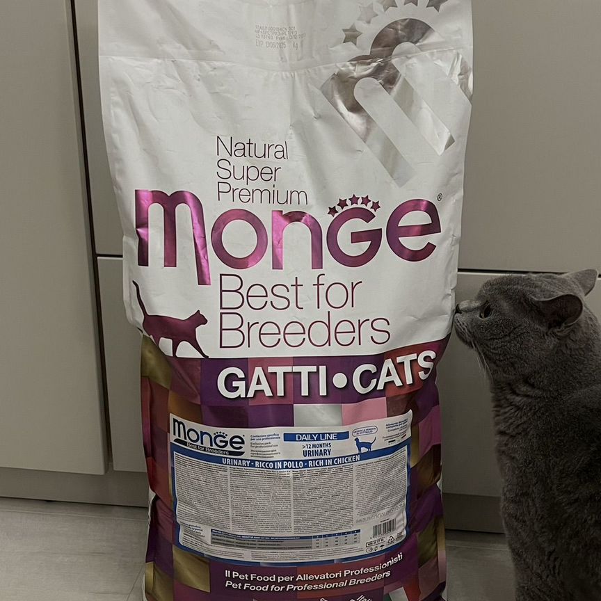 Monge Cat Urinary Сухой корм для кошек