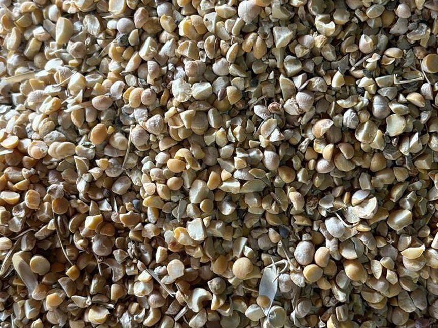 Отходы нута