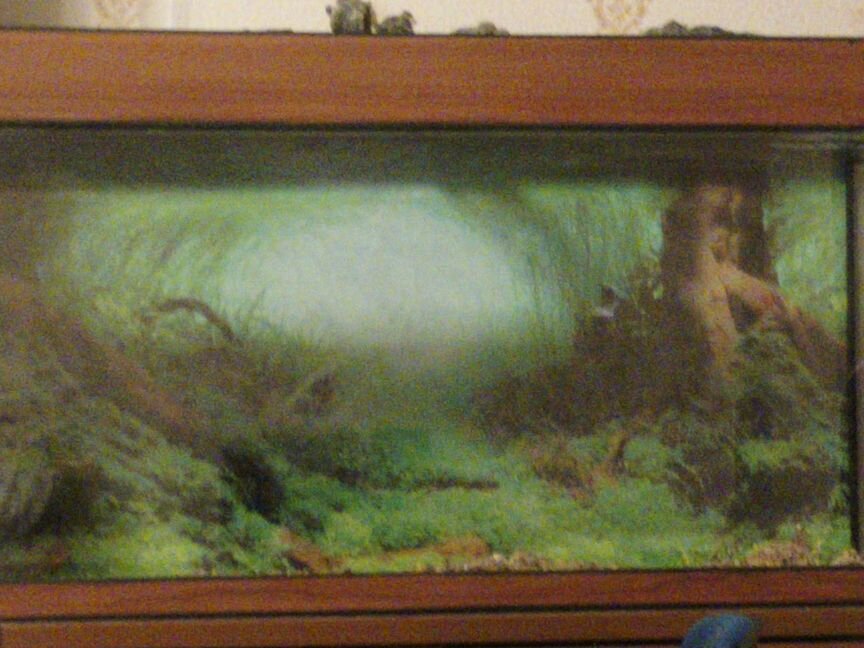 Аквариум 180л