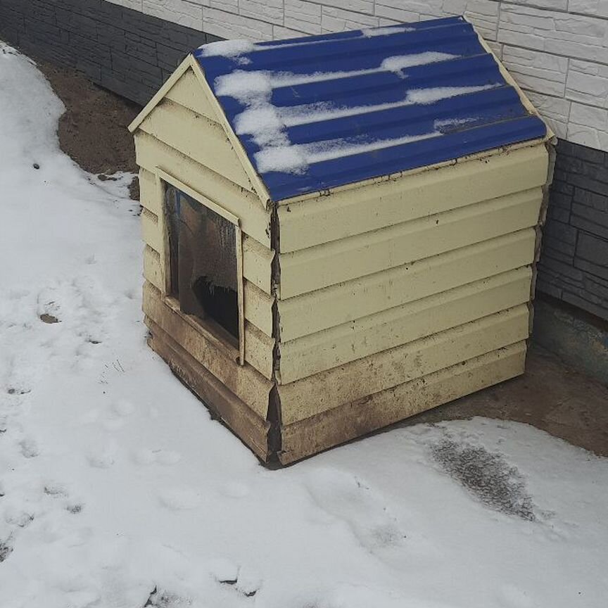 Собачья конура