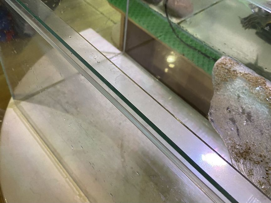 Акватеррариум для черепахи