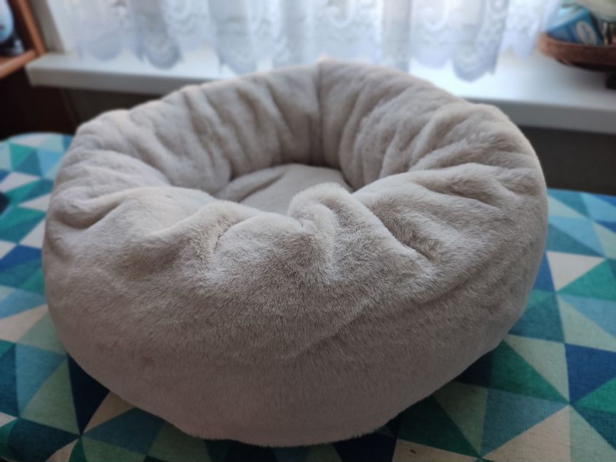 Лежанка для котят