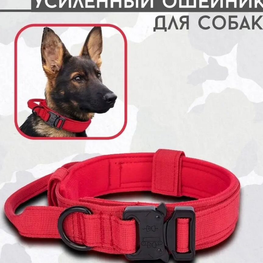 Ошейник тактический для собак