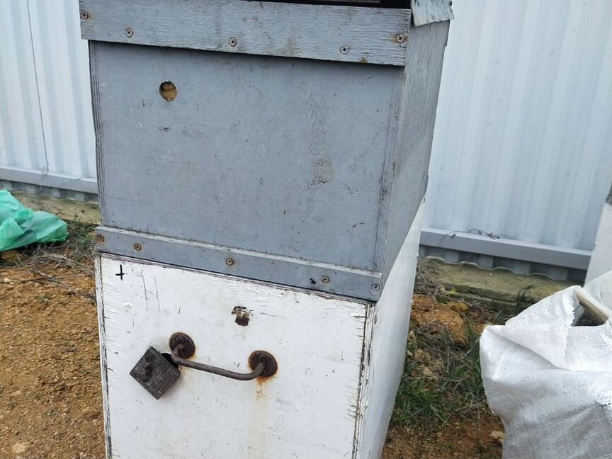 Улья для пчел