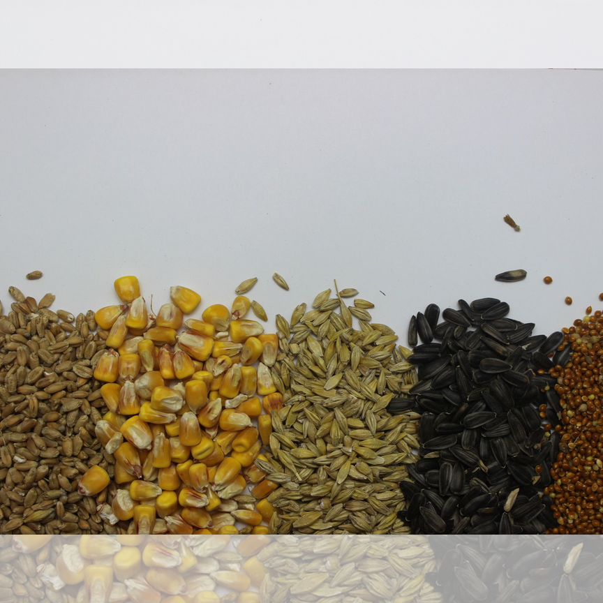 Комбикорм и Зерно