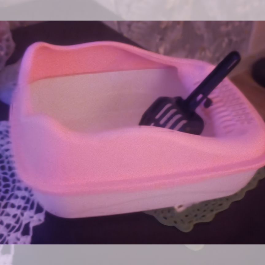 Туалет лоток для кошек