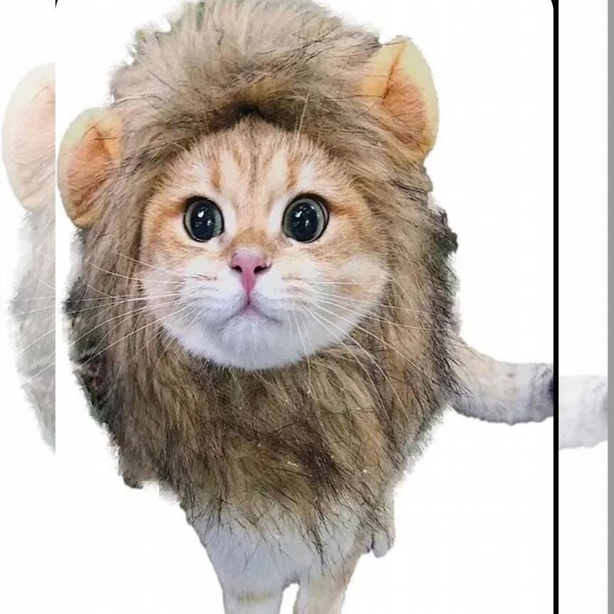 Шапка для кошки или собаки Лев