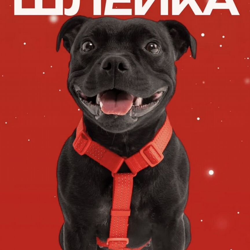 Шлейка pro comfort красная limited