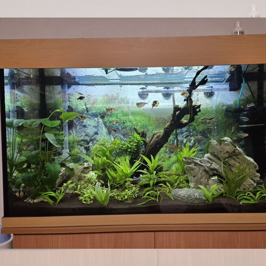 Аквариум на 150 литров полный комплект