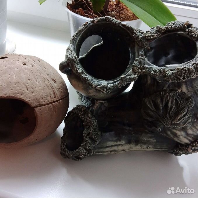 Кокос грот натуральный