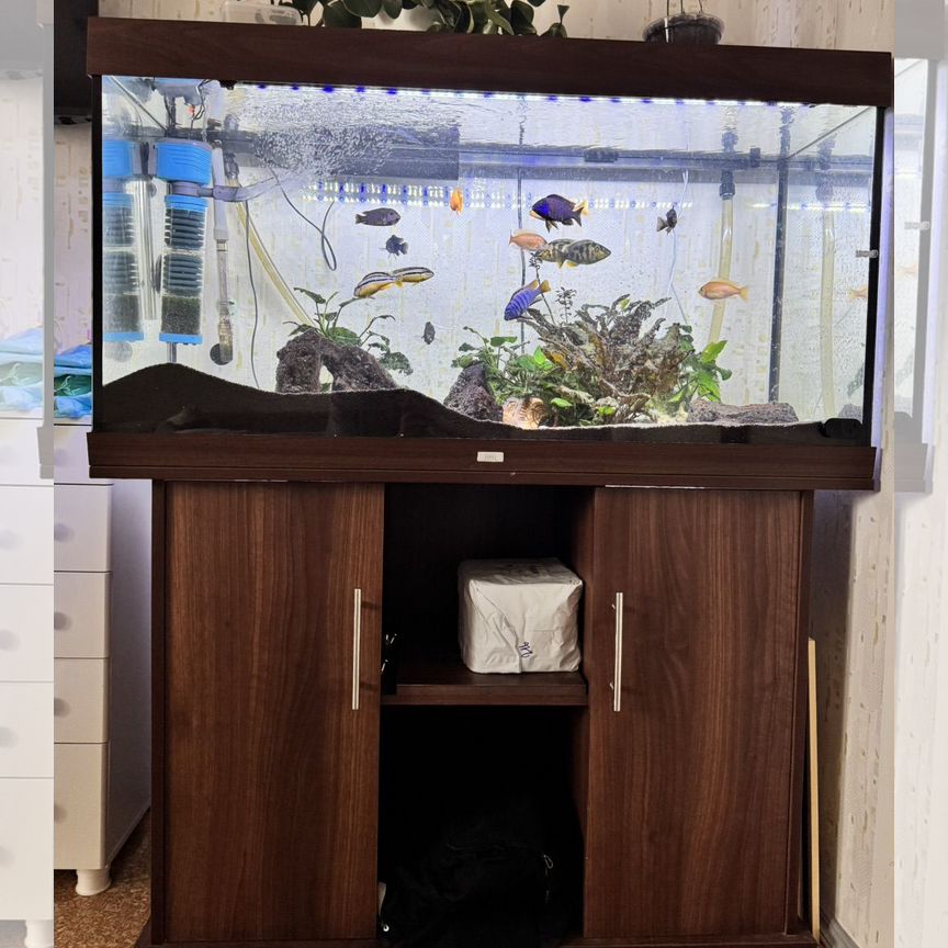 Аквариум с тумбой 450л