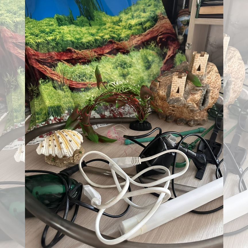 Для акувариума всякая разная всячина