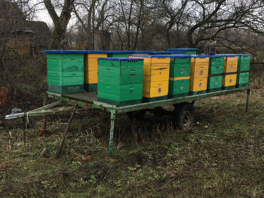 Пчелоприцеп, улья, вагончик
