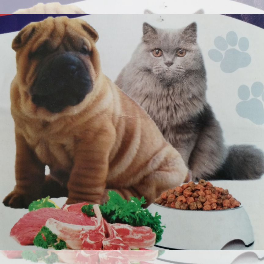 Сухой корм для собак