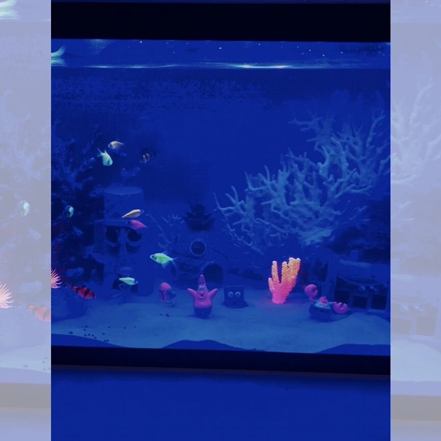 Аквариум с рыбками