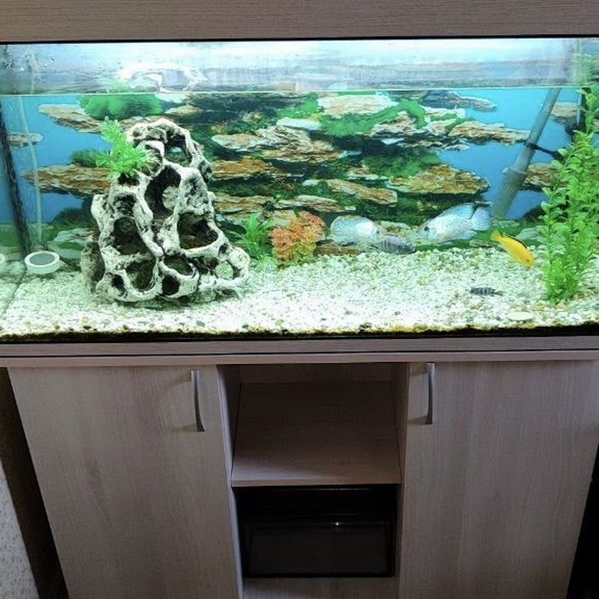 Аквариум с тумбой 200 литров