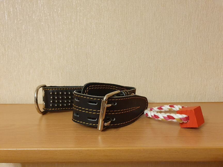 Ошейник для собак натуральная кожа с шипами