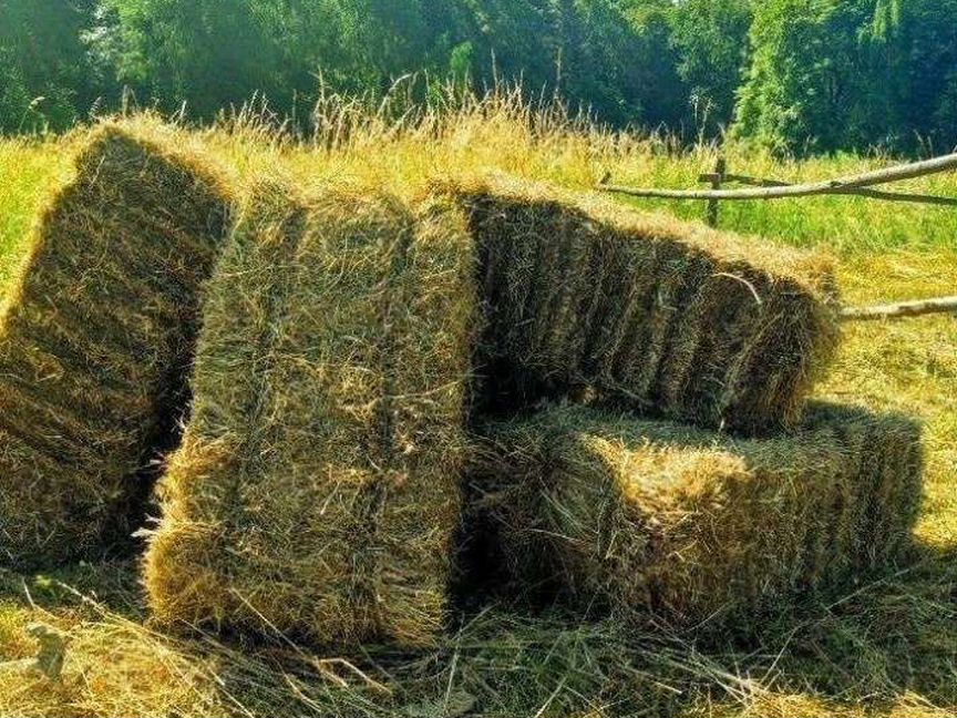 Солома в тюках