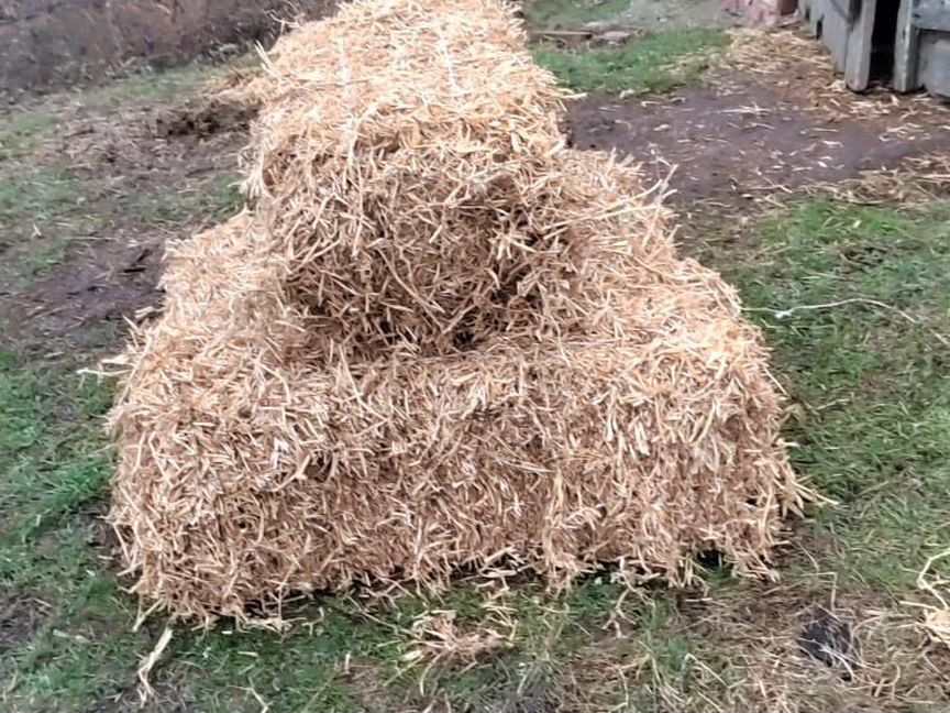 Гороховая солома