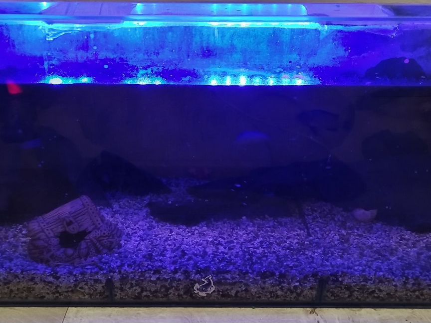 Украшение для аквариума