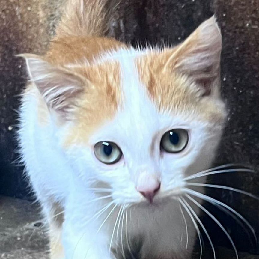 Малыш ждёт свою семью