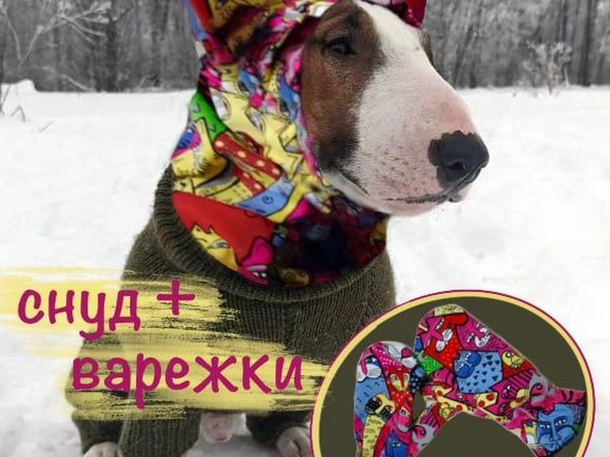 Снуд для собаки + варежки
