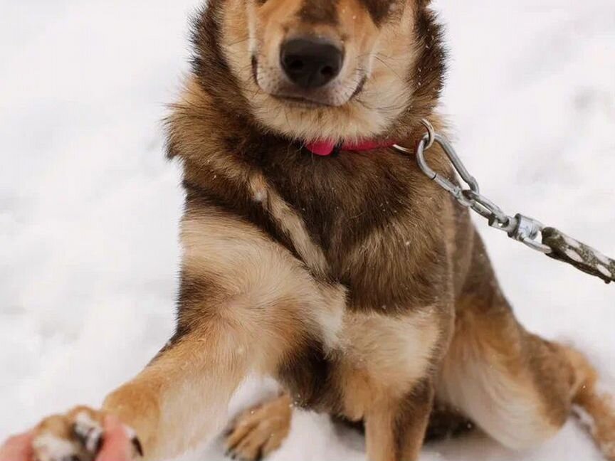 Излучающая добро И позитив. эва