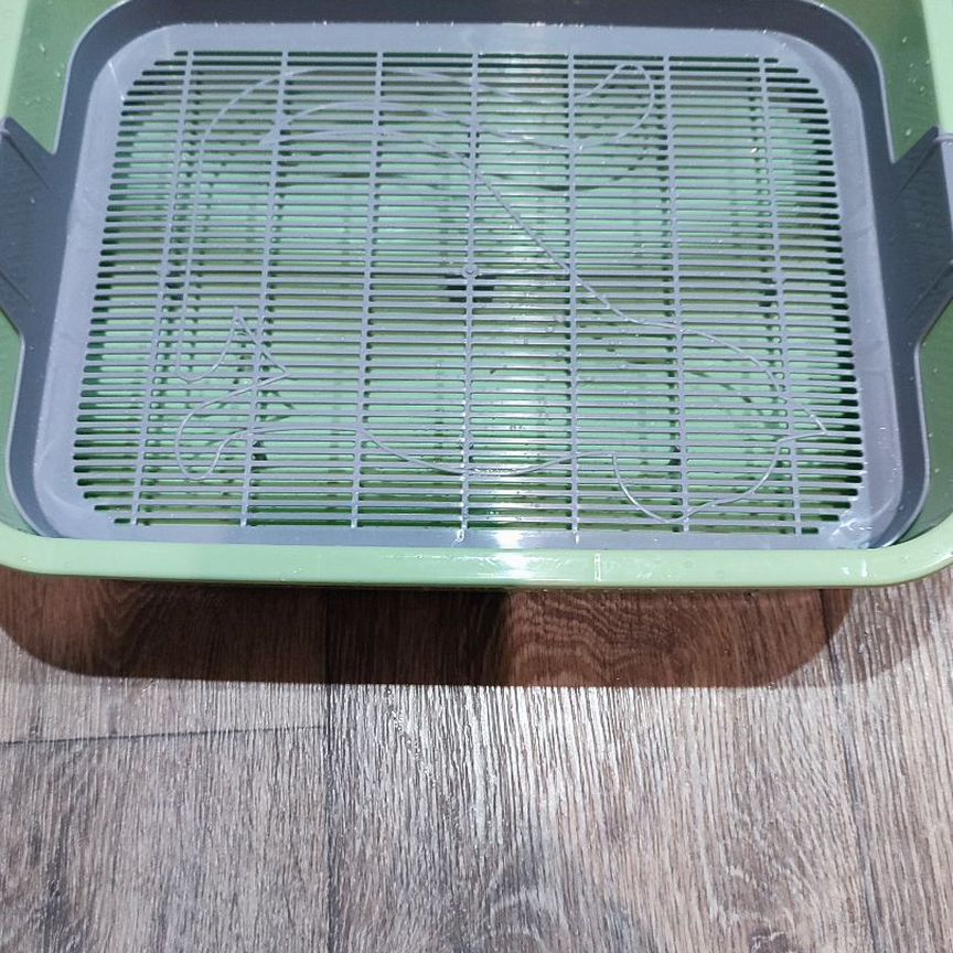 Лоток для котят