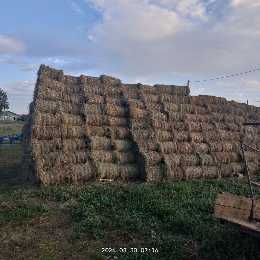 Сено в рулонах